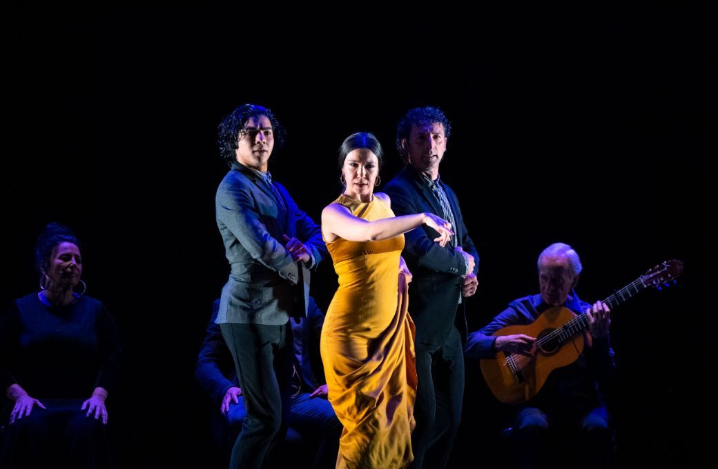 Paco Peña Flamenco Dance Company in Solera: sensational and sensual ...